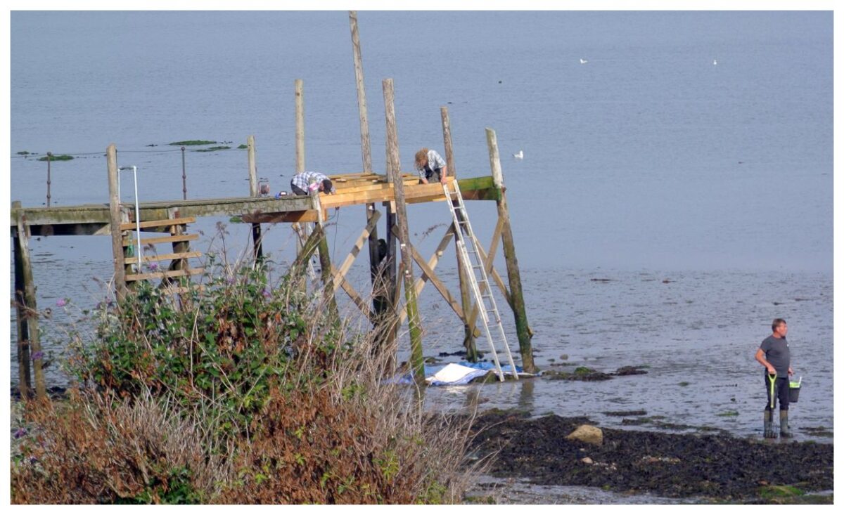Kinnegar Wetlands – Holywood Walks